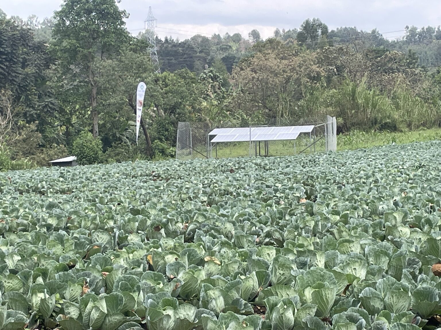 Exploring the potential of distributed renewable energy in agriculture ...